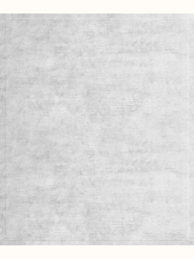 Grey Velvet - Rug store | buy rugs online in USA | Tapis Rouge